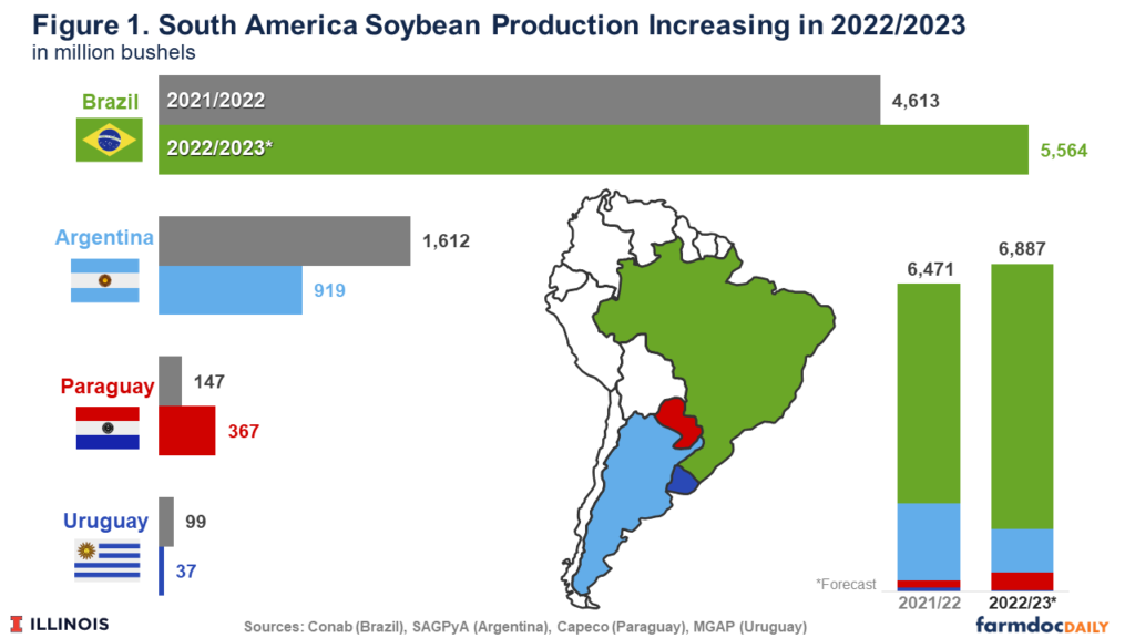 Record in Brazil, Drop in Argentina: Contrasting Soybean Harvests in ...