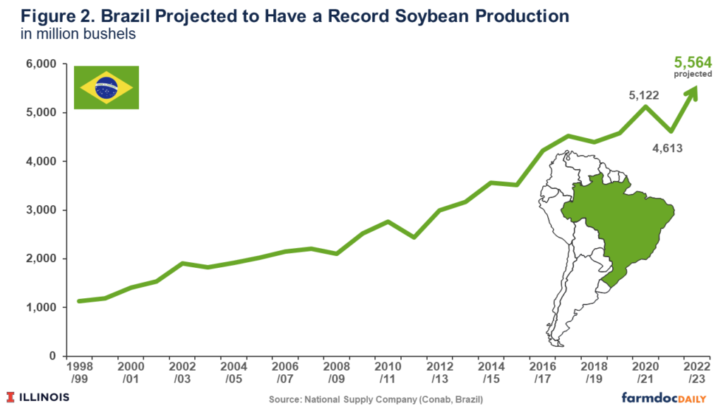 Record in Brazil, Drop in Argentina: Contrasting Soybean Harvests in ...
