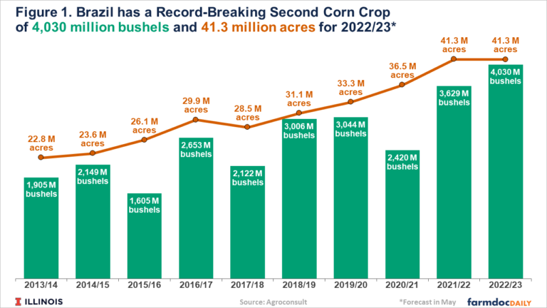 Brazil Harvesting Record Second Corn Crop, As Prices Fall and Sales ...