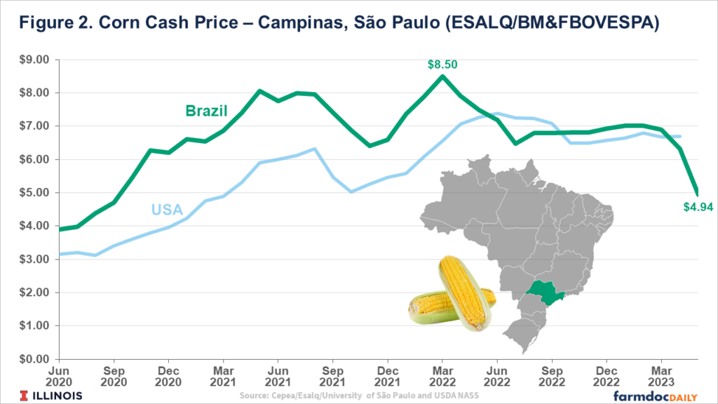 Brazil Harvesting Record Second Corn Crop, As Prices Fall and Sales ...