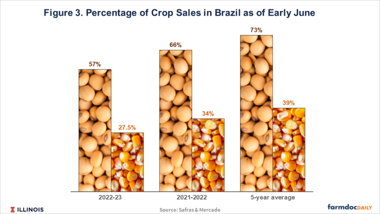 Brazil Harvesting Record Second Corn Crop, As Prices Fall and Sales ...
