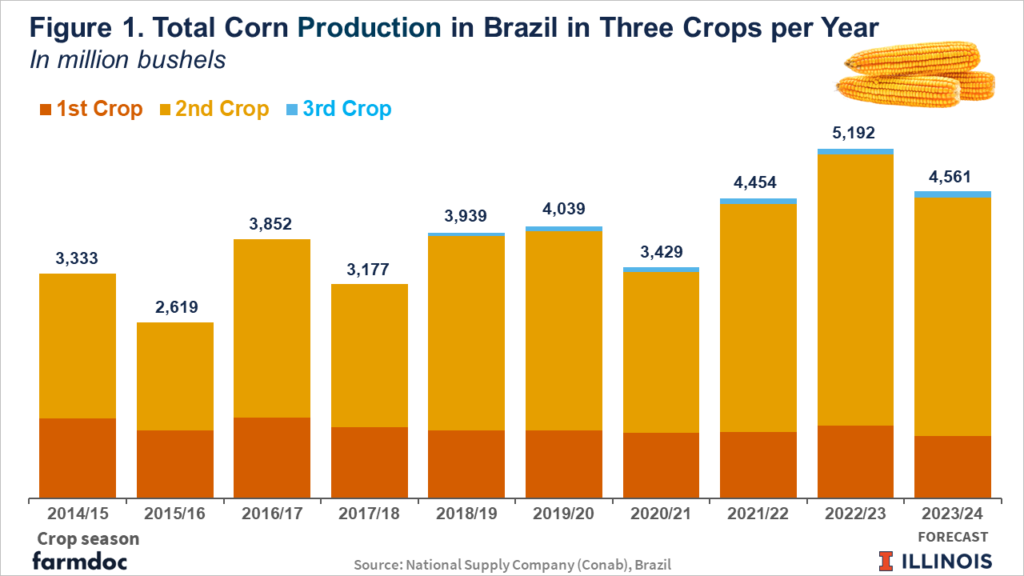 Brazil's Corn Harvest Declines, Yet Remains Second Largest in Nation’s ...