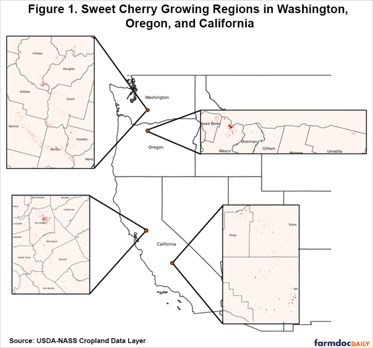 The Dynamics of Sweet Cherry Orchards: Trends and Transitions from 2008 ...