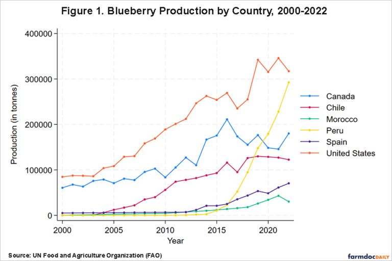 Peru’s Blueberry Boom: More Land, More Labor, More Berries to Savor ...