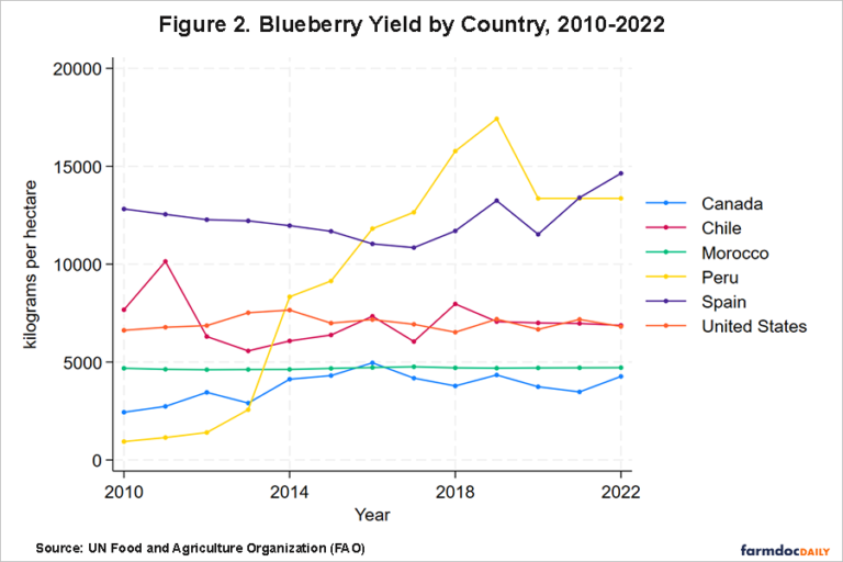 Peru’s Blueberry Boom: More Land, More Labor, More Berries to Savor ...