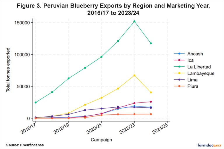 Peru’s Blueberry Boom: More Land, More Labor, More Berries to Savor ...