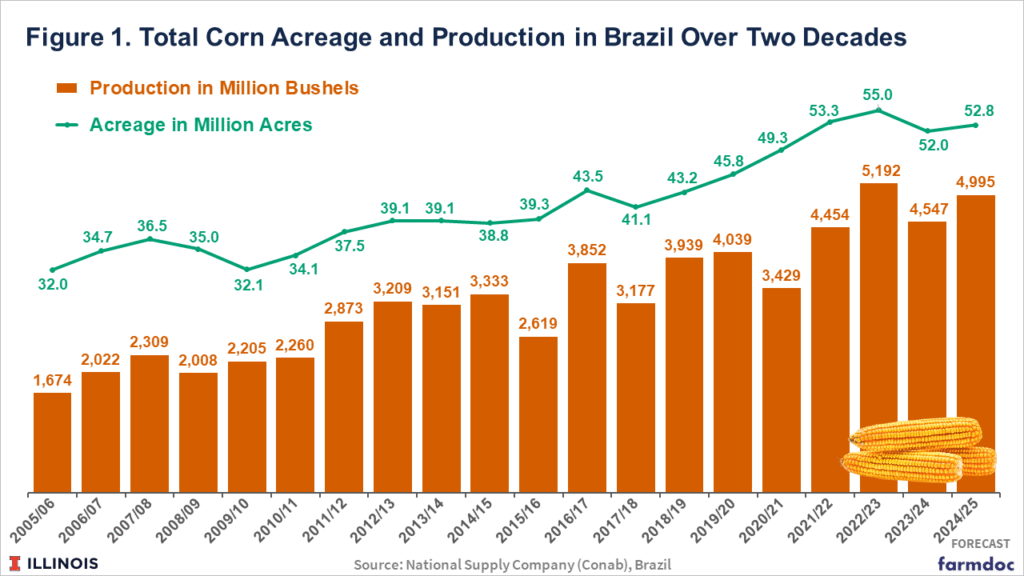 Brazil’s 2024–25 Corn Harvest Grows, But Exports Projected to Decrease ...