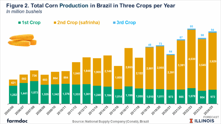 Brazil’s 2024–25 Corn Harvest Grows, But Exports Projected to Decrease ...