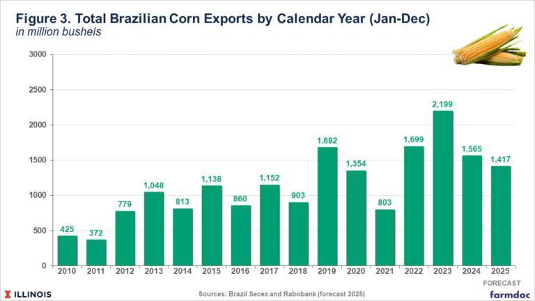 Brazil’s 2024–25 Corn Harvest Grows, But Exports Projected to Decrease ...