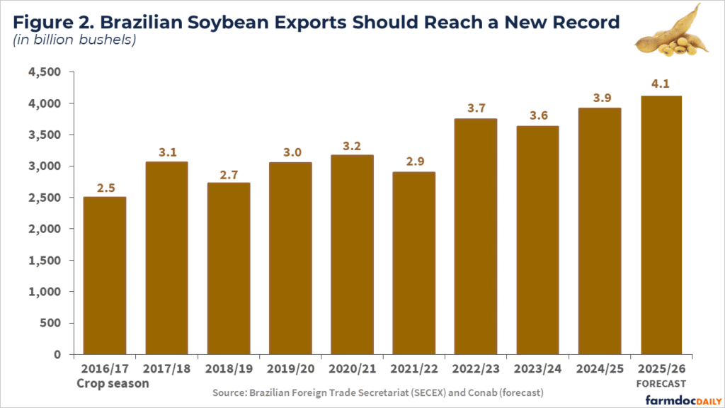 Brazil Begins Planting with Expected Record Acreage Driven by High ...